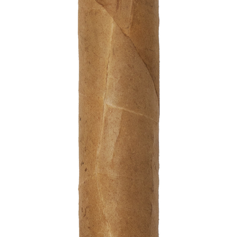 Artista Studio Works Paperboy Connecticut - Dojoverse